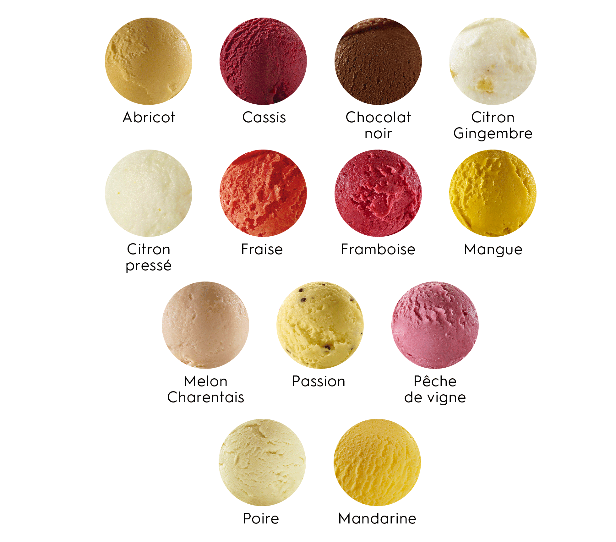 Louise | Nos saveurs de glaces artisanales